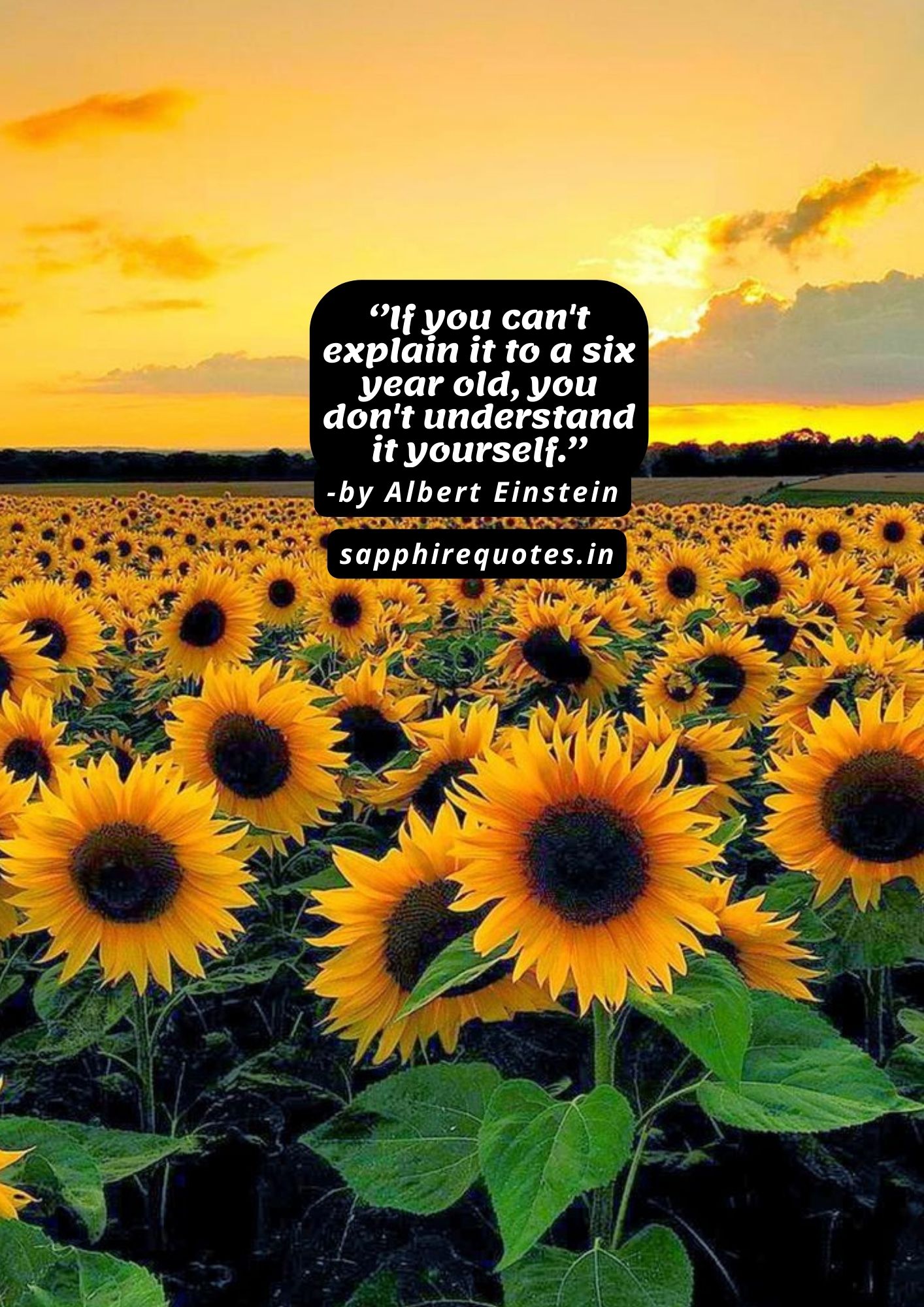 100 Powerful and Inspiring Albert Einstein Quotes - sapphirequotes.in