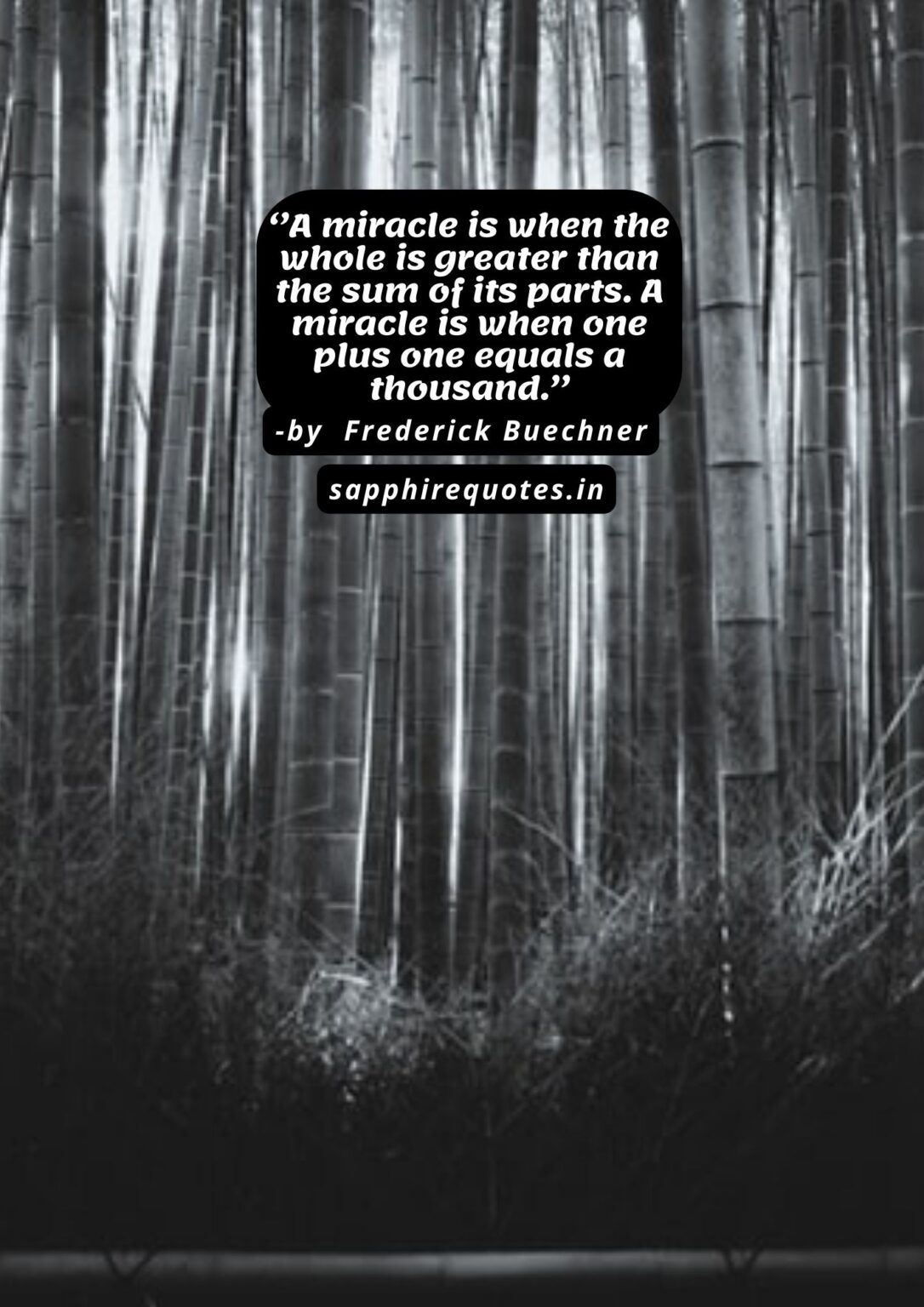 100+ Beautiful and Unique Life changing Miracle Quotes | 2024 | MIRACLE ...