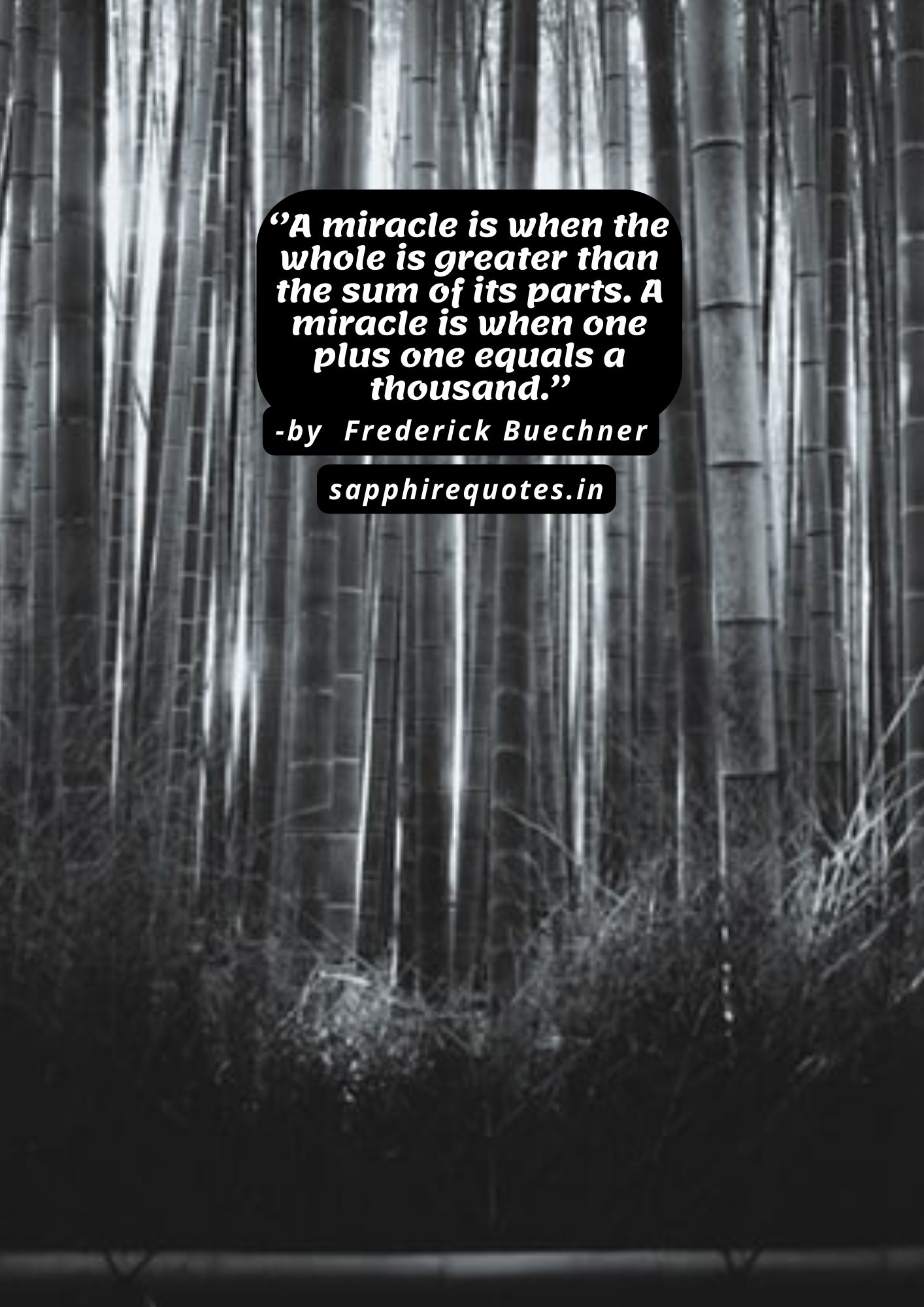 100+ Beautiful and Unique Life changing Miracle Quotes | 2024 | MIRACLE ...