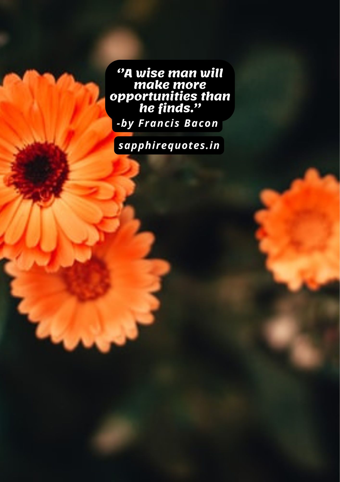 108 Inspirational And Powerful Opportunity Quotes - sapphirequotes.in