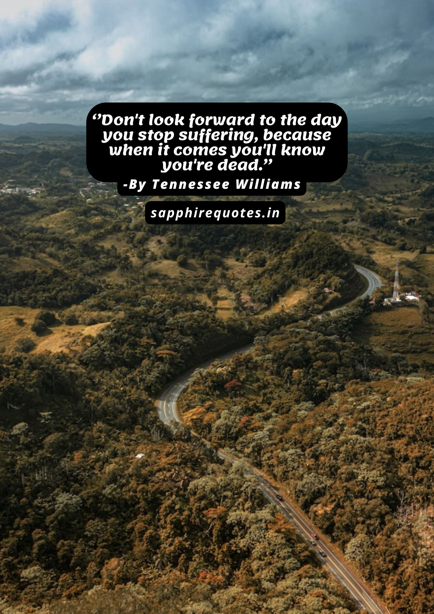 125+ Powerful and Motivational Suffering Quotes - sapphirequotes.in